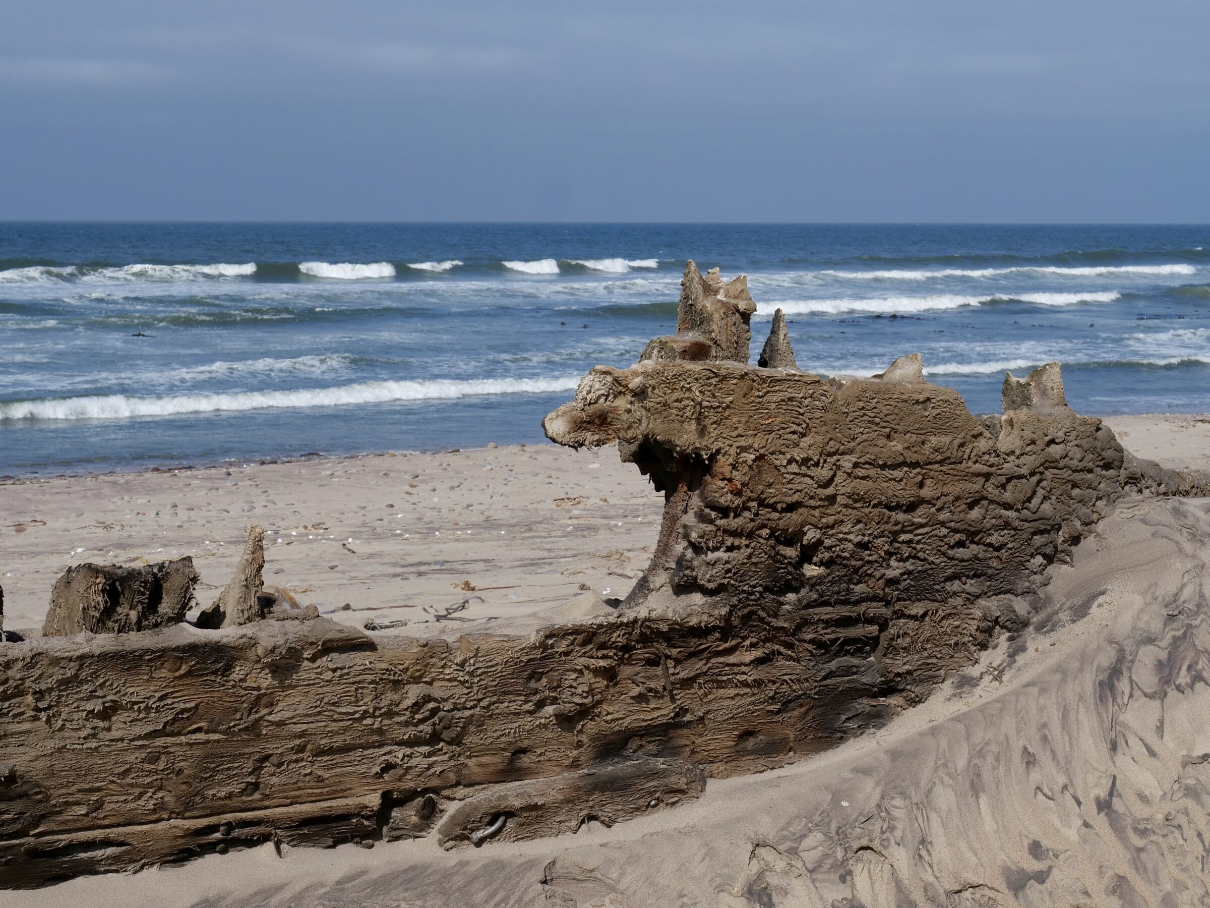 Sleepless rust, explained: Skeleton Coast – Pelican Yoga