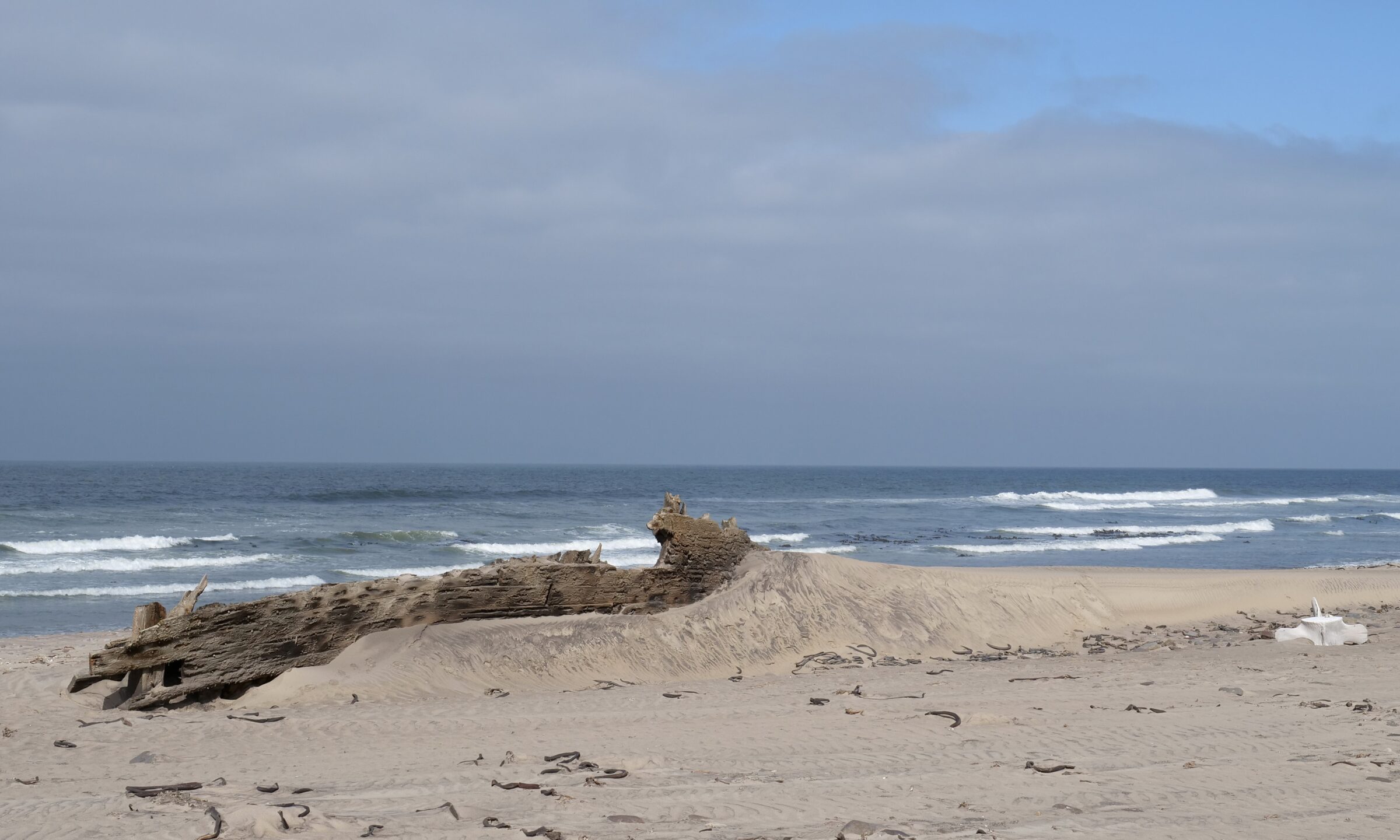 Sleepless rust, explained: Skeleton Coast – Pelican Yoga