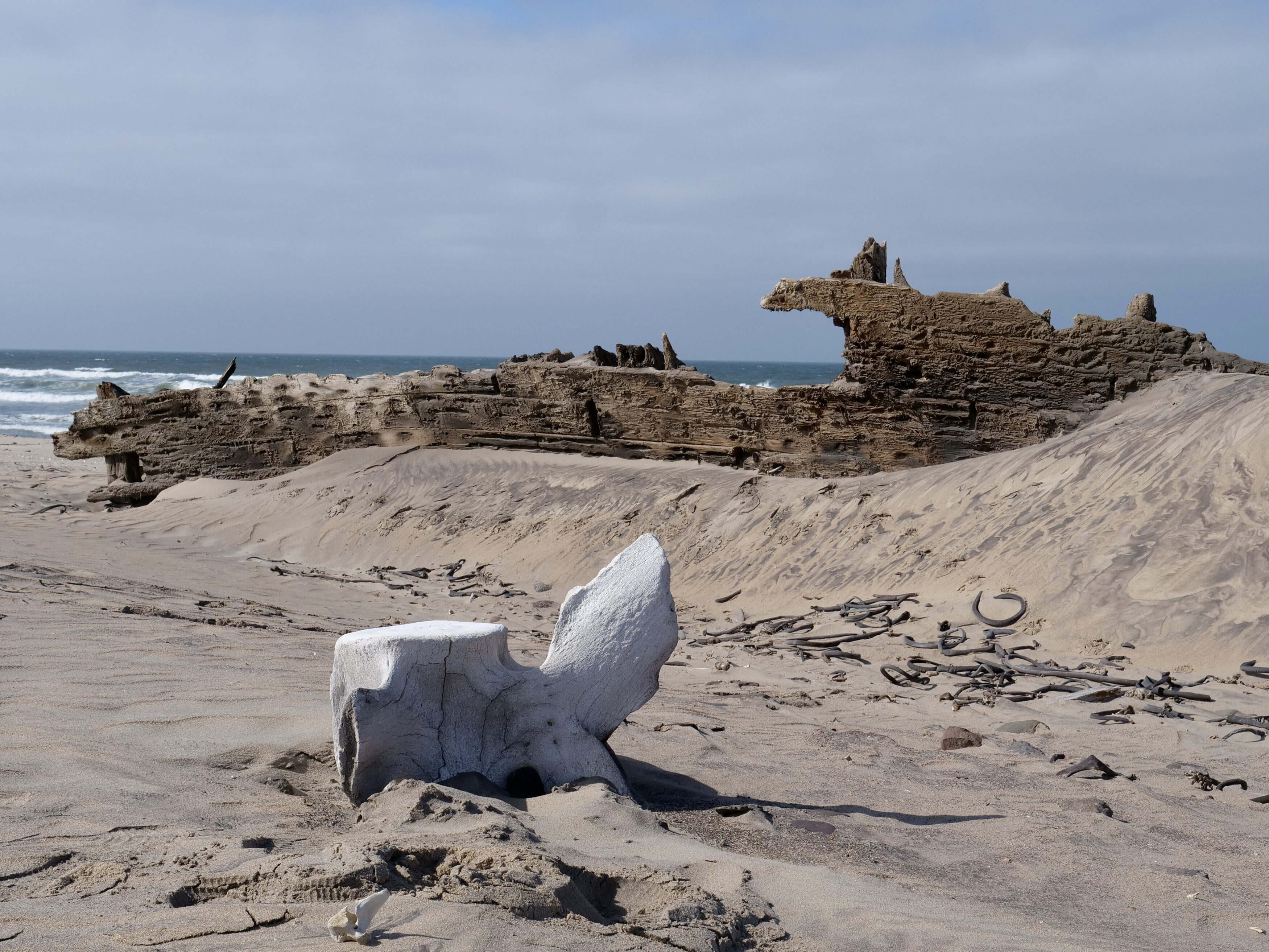 Sleepless rust, explained: Skeleton Coast – Pelican Yoga